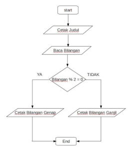 Algoritma: Arti, Fungsi, Ciri-ciri dan Contohnya