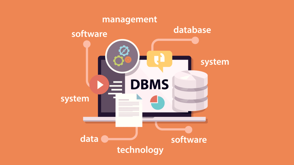 DBMS Adalah : Fungsi dan Macam-macam Database