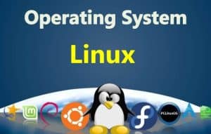 Linux Adalah: Sejarah, Jenis, dan Perintah Dasarnya | Apa Itu Linux