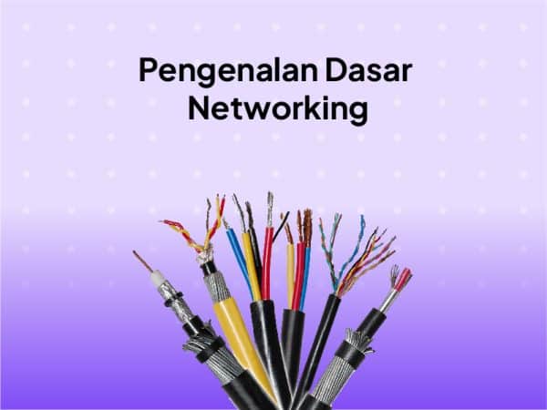 Networking Adalah : Pengertian, Manfaat dan Jenisnya