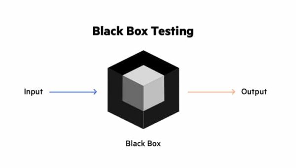 Black Box Testing Adalah : Pengertian dan Contohnya