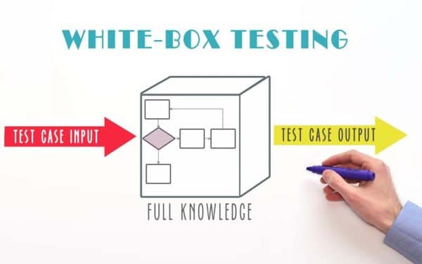 White Box Testing Adalah: Pengertian, Contoh dan Teknik