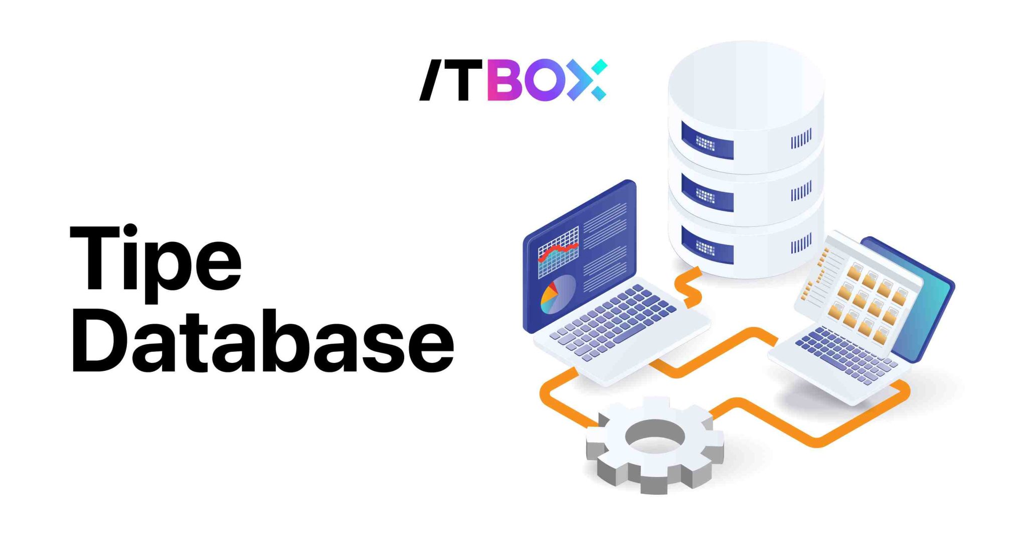 Mengenal Jenis-Jenis Database: Tipe-Tipe dan Fungsinya yang Penting ...