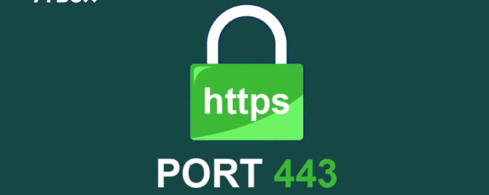 Port 443 dalam Keamanan Website: Peran HTTPS dan Melindungi Data ...