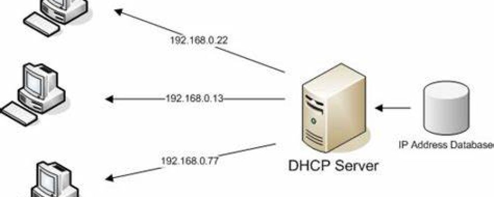 Mengenal DHCP Server: Cara Kerja dan Fungsinya